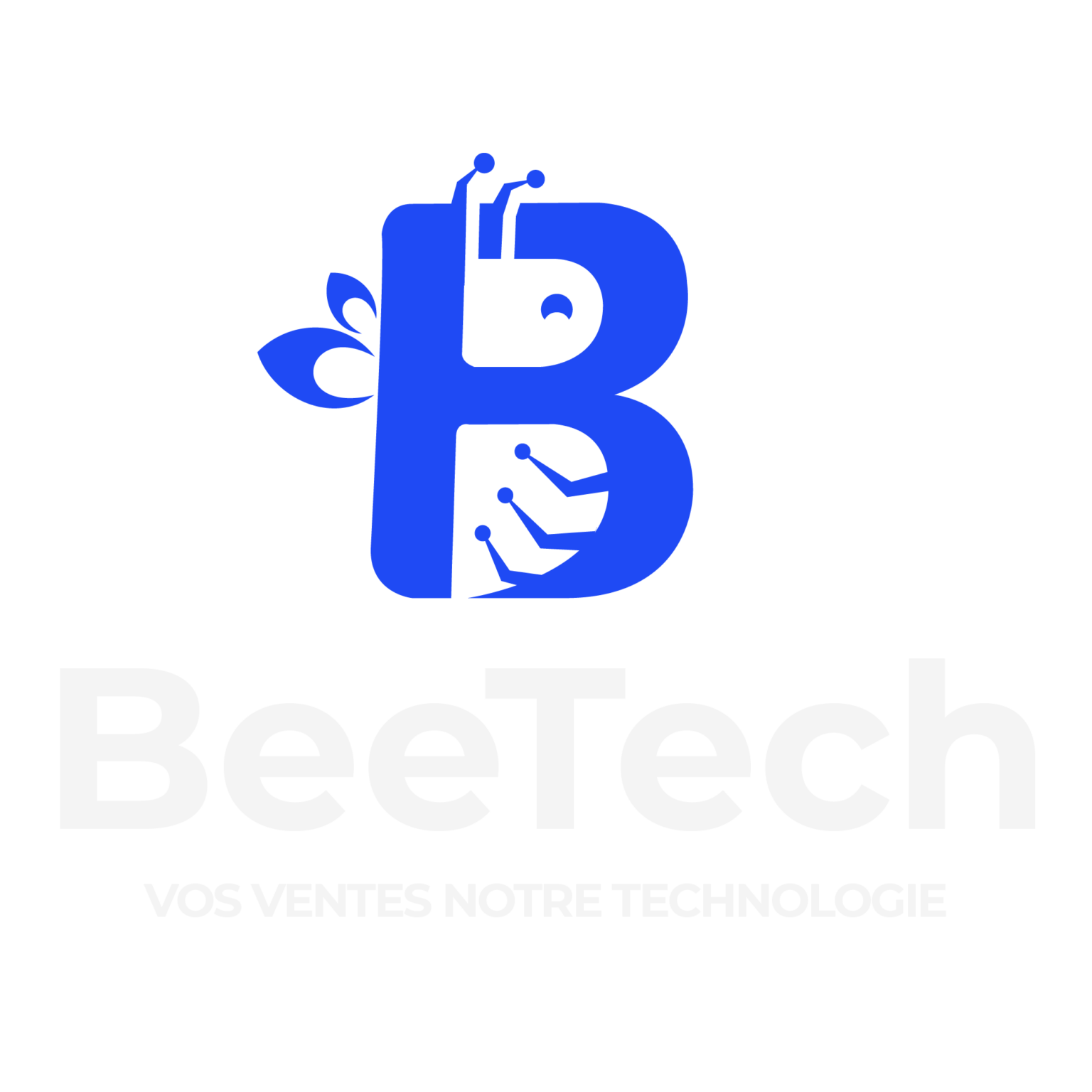 Flexo 6 – Bee'Tech